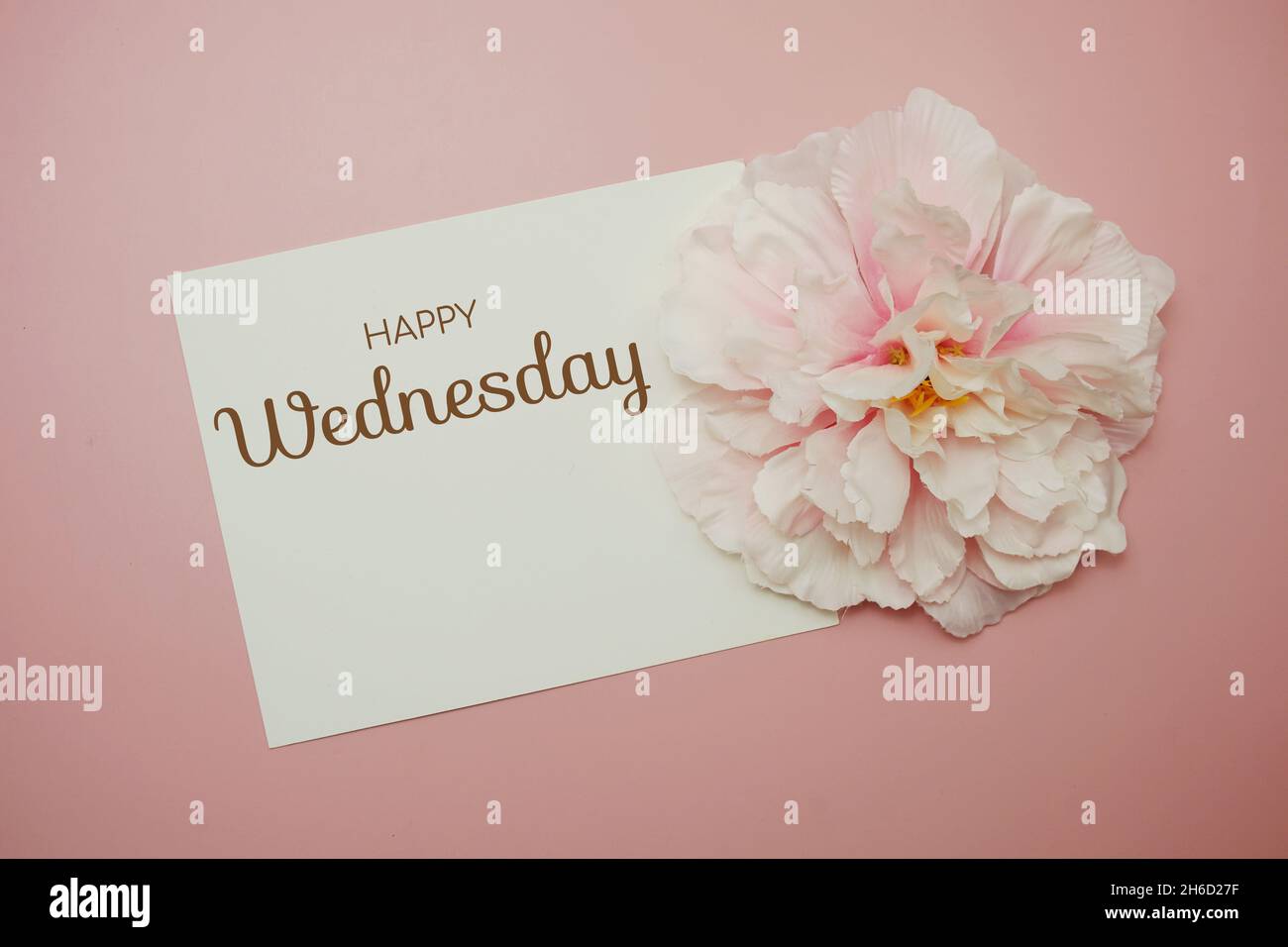 Happy Pink Wednesday