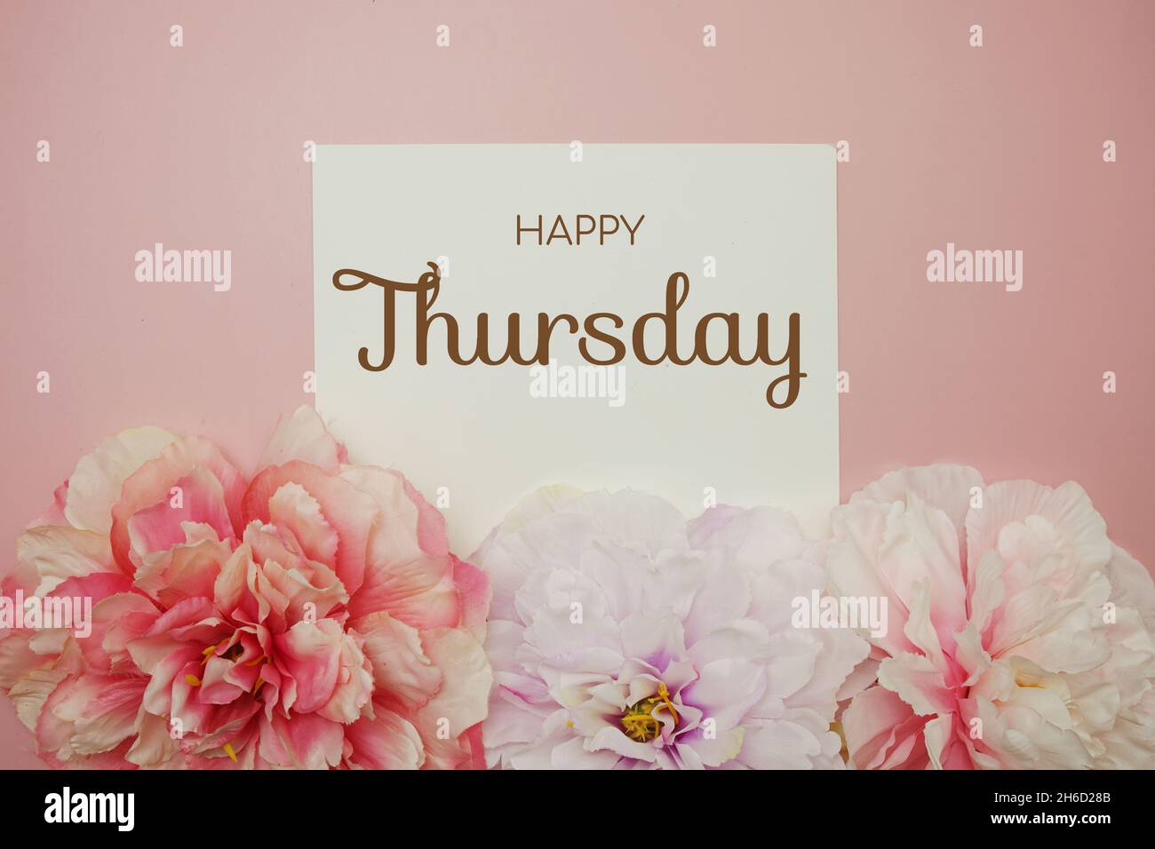 Happy Thursday typography text with flower decor on pink background ...