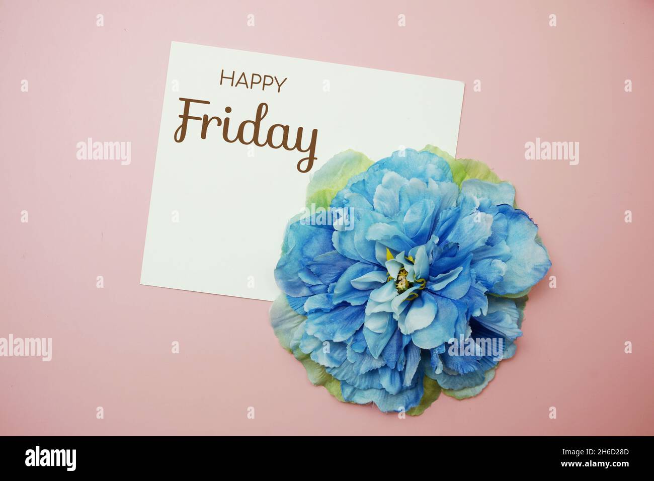 Happy Friday typography text with flower decor on pink background Stock ...