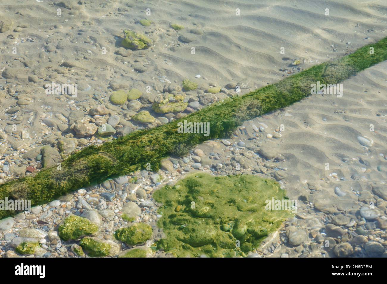 thick rope covered with seaweed underwater, on sand and stone ground ...