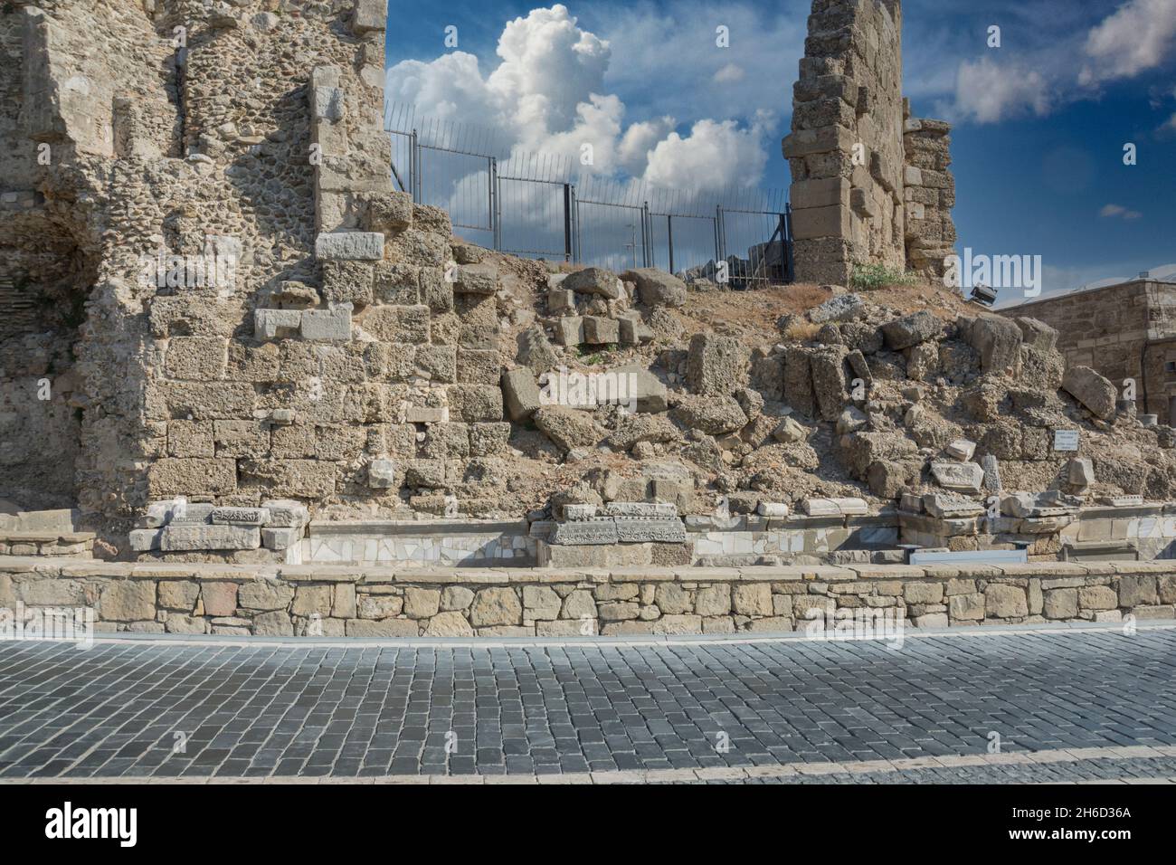 Old olive tree ancient roman hi-res stock photography and images - Alamy