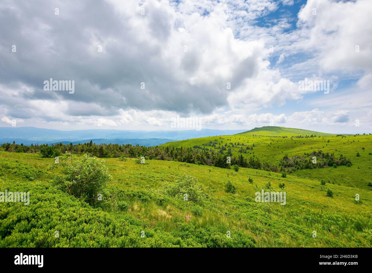 hills and meadows on the mountain plateau. wonderful green summer ...