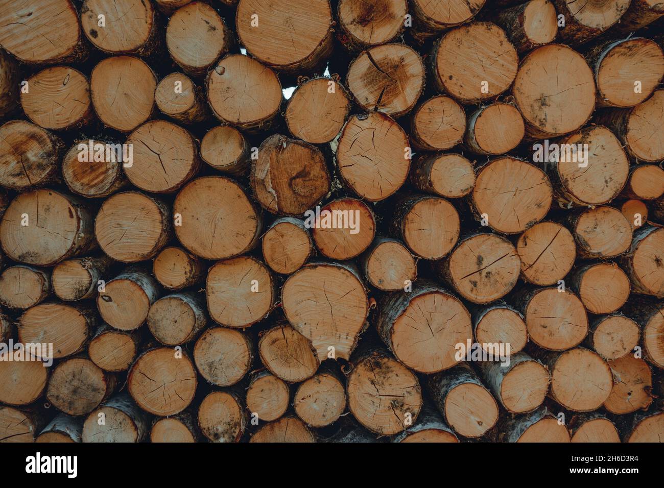 Stack of tree trunks. Texture background wallpaper Stock Photo - Alamy
