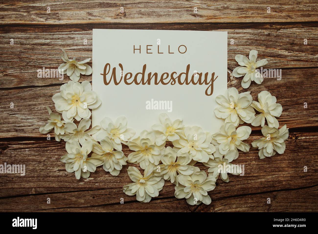Hello Wednesday card typography text with flower bouquet on pink ...