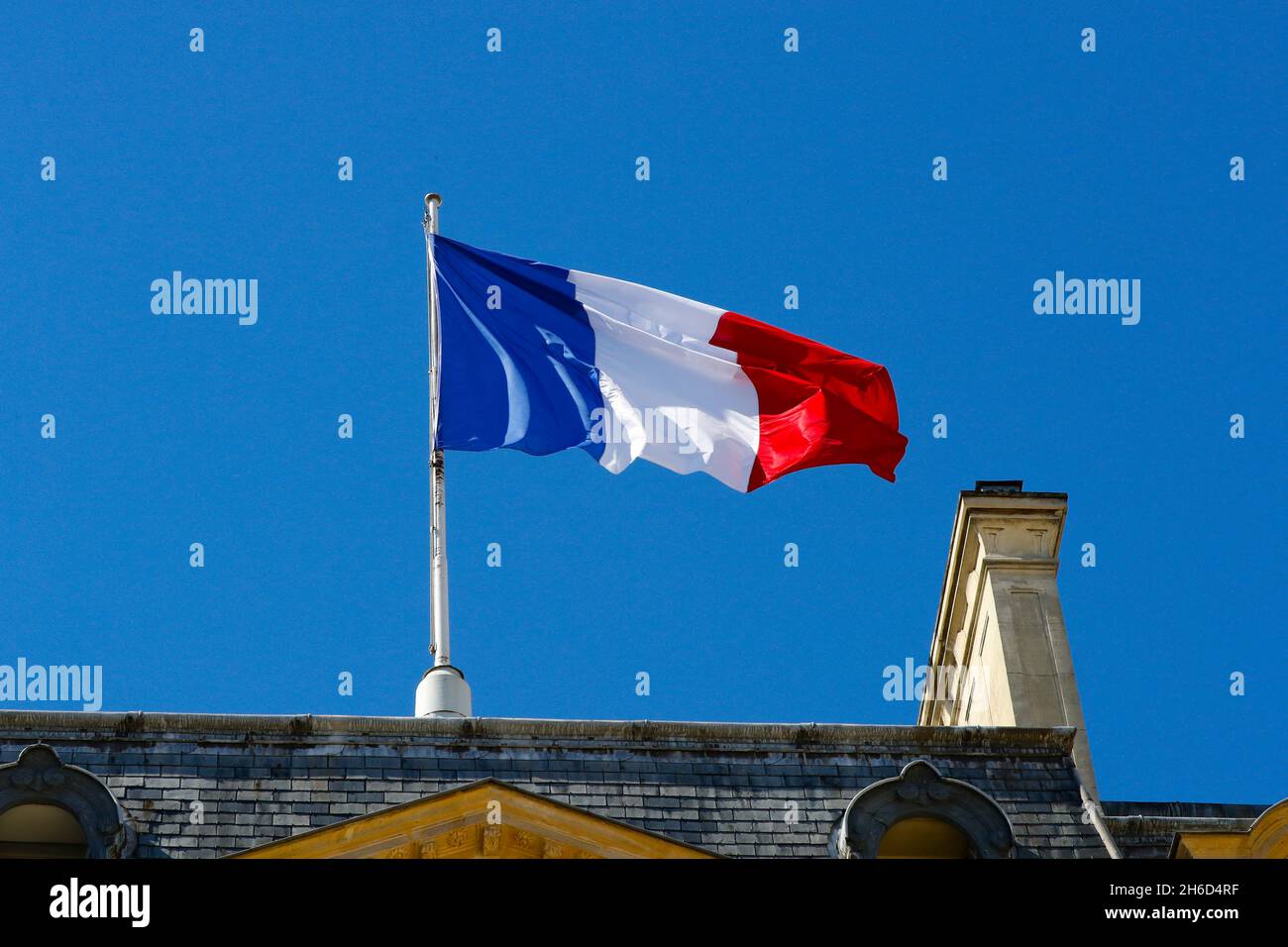 French Flags Revolution