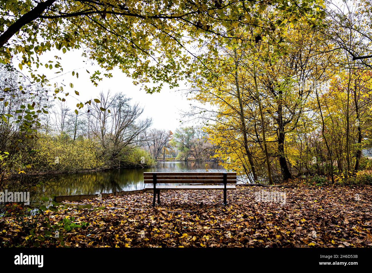 Hanover, Germany. 15th Nov, 2021. A bench stands in the morning cloudy ...