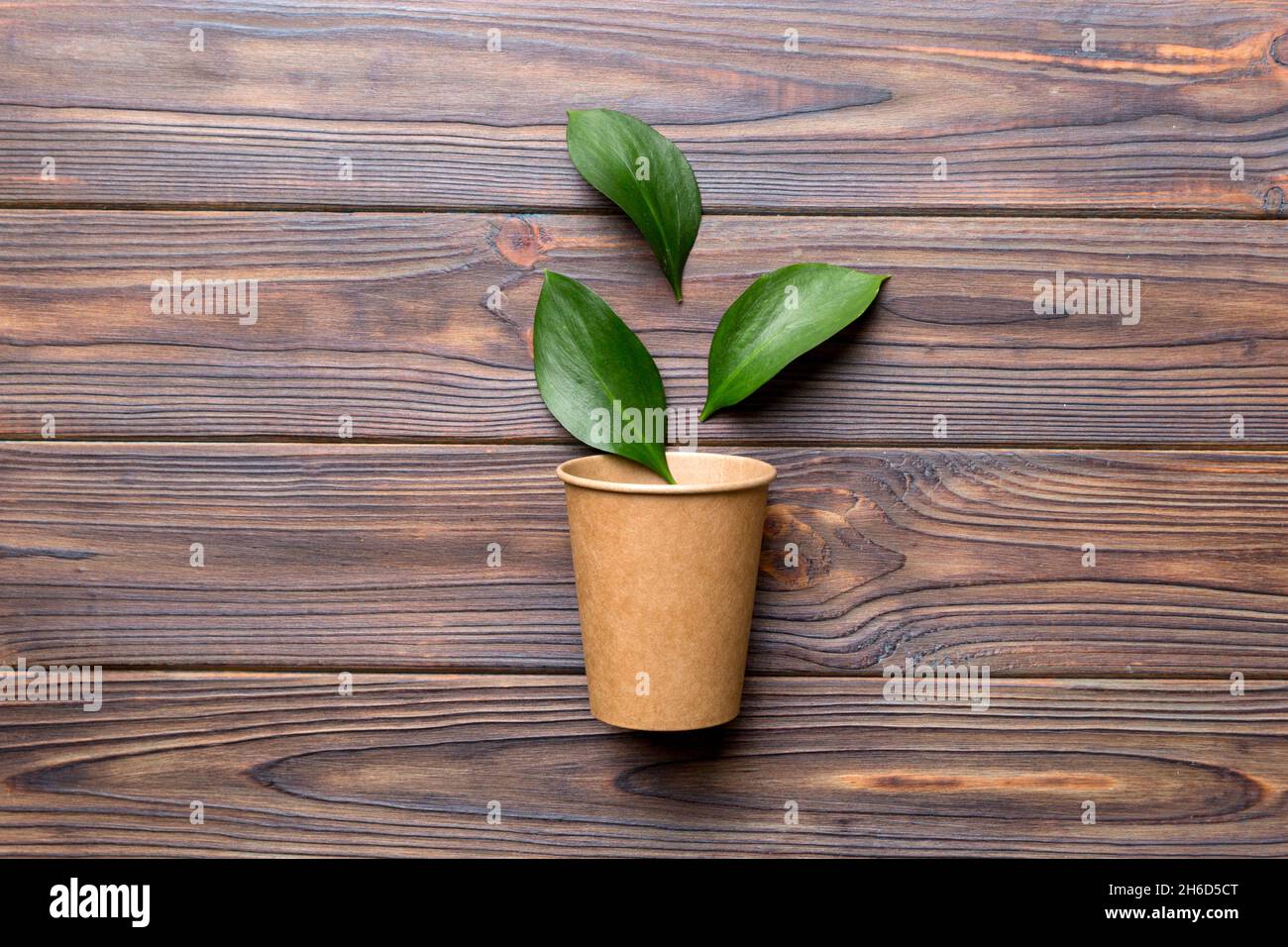 Zero waste cup with green leaf, environmentally friendly, disposable ...