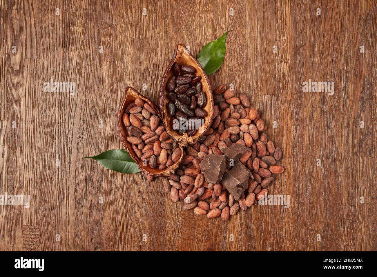 Cocoa beans pods tree hi-res stock photography and images - Alamy