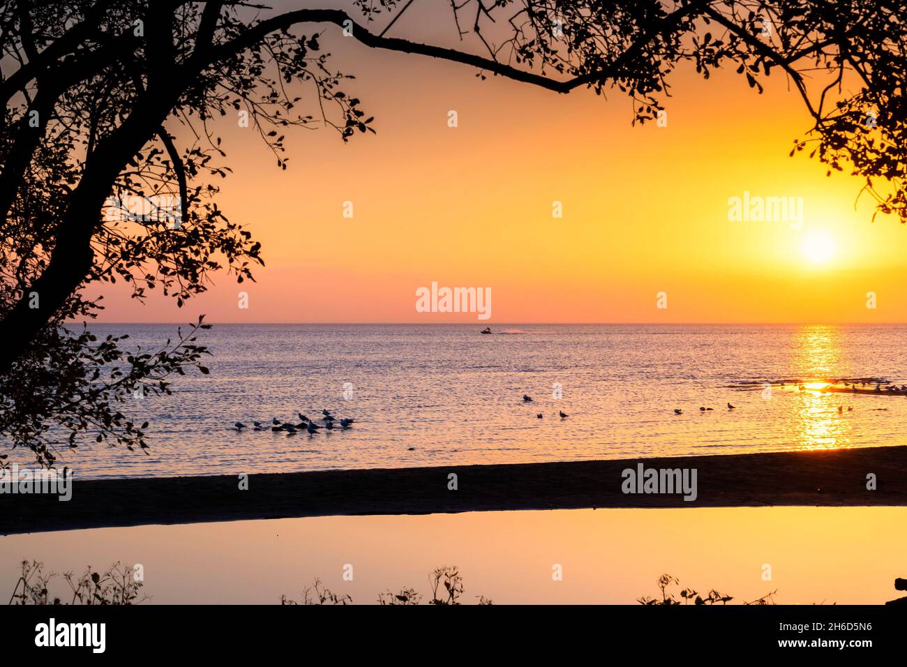 Lough neagh walking hi-res stock photography and images - Alamy