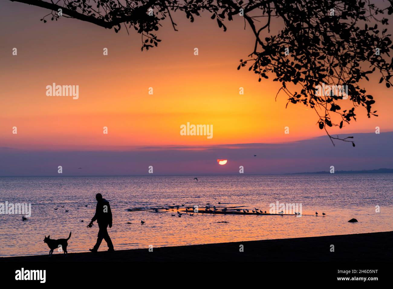 Sunset at Lough Neagh County Antrim on a warm Autumn evening Stock ...