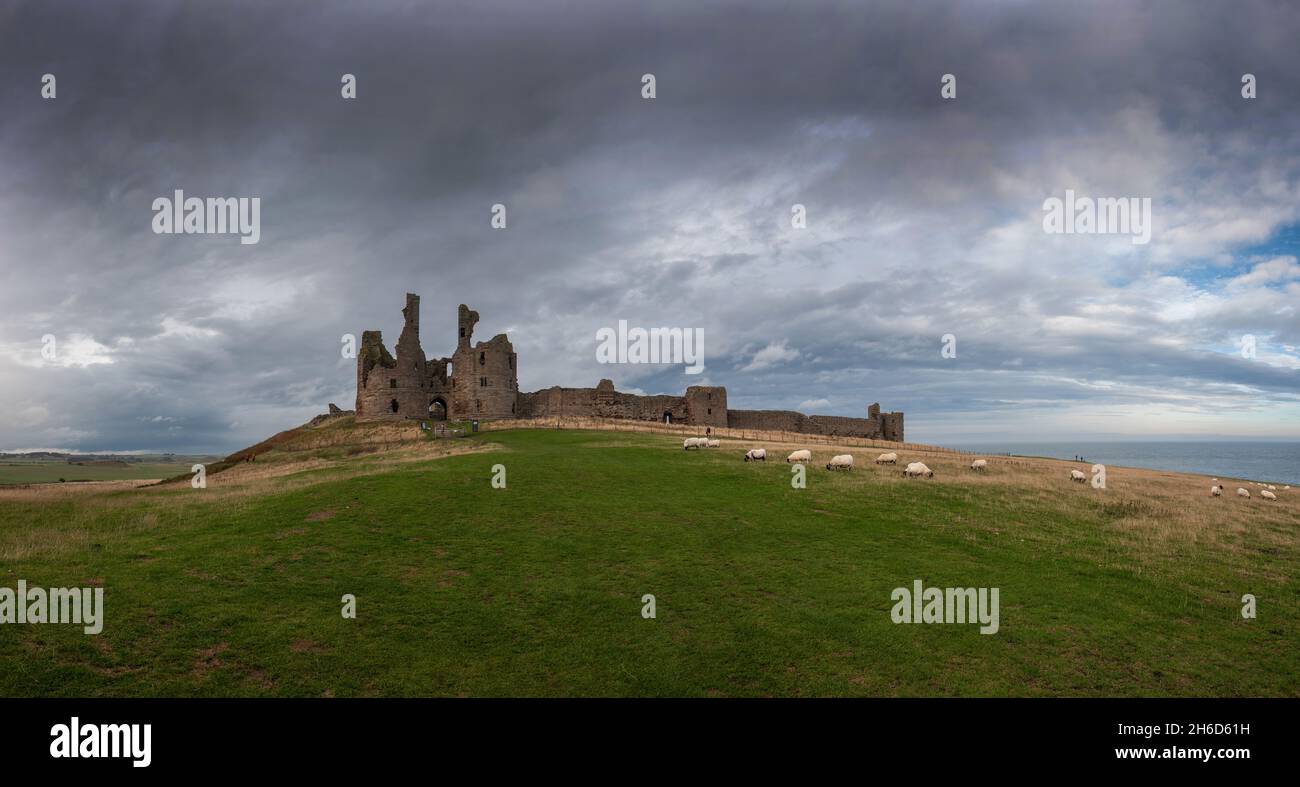 1300s history hi-res stock photography and images - Alamy