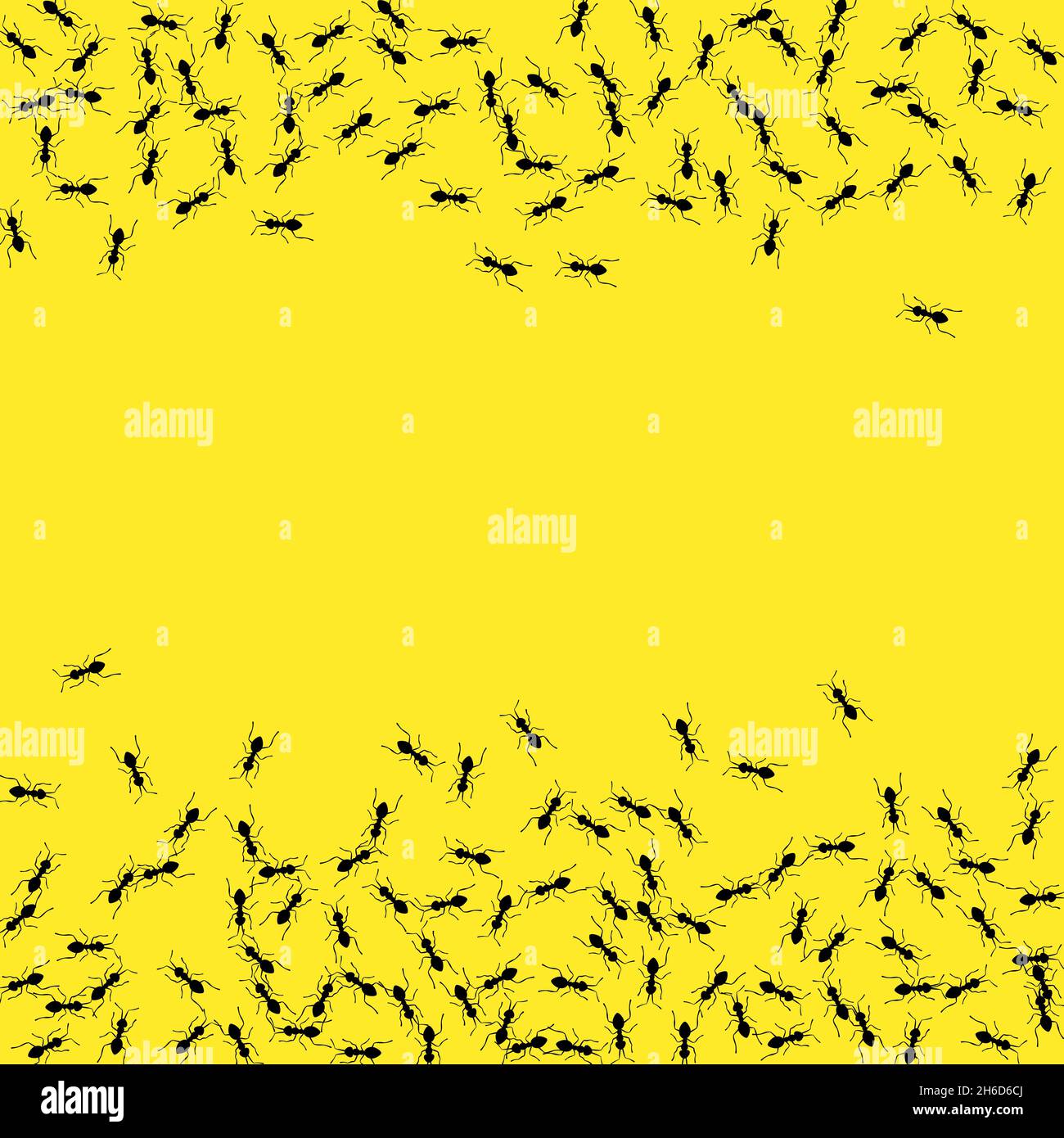 Ant trail background. Ants colony teamwork concept. Insect group ...