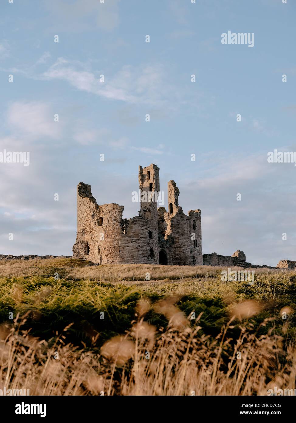 The summer grassland landscape of Dunstanburgh Castle ruins - 14th ...