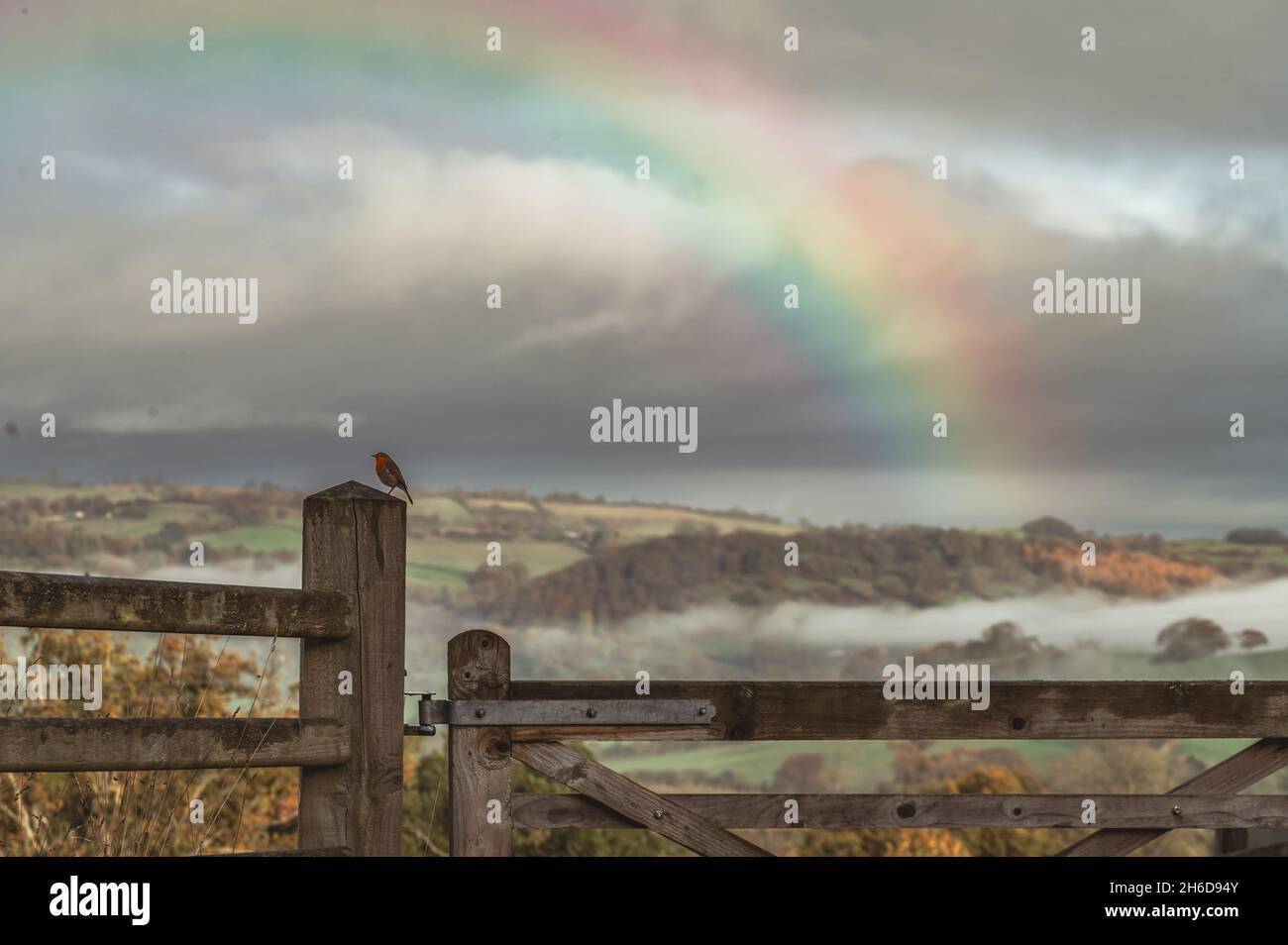 Chasing the rainbow hi-res stock photography and images - Alamy