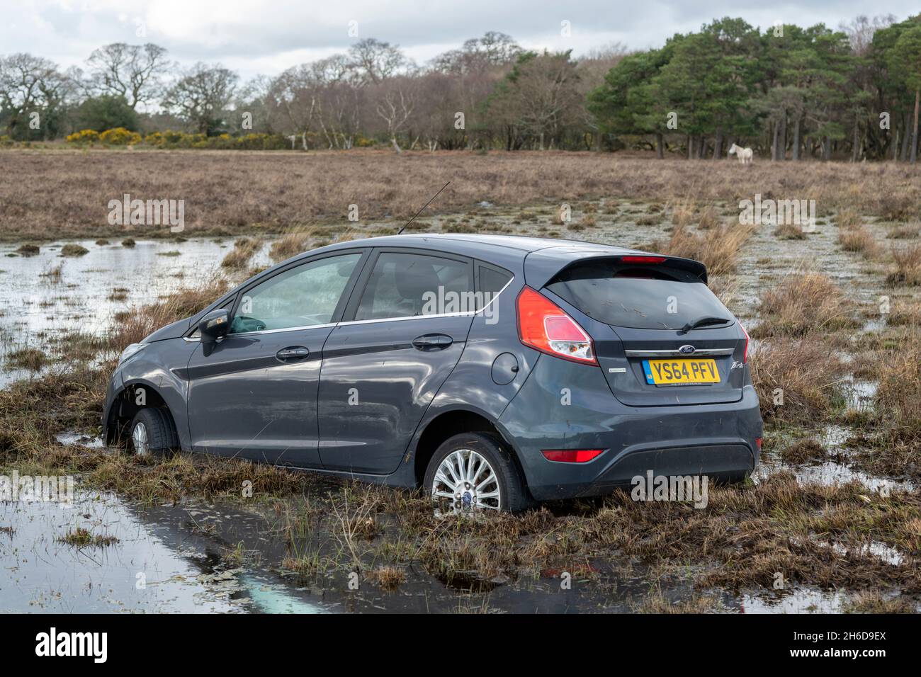 Ford Fiesta accident in New Forest, 2020 Stock Photo - Alamy