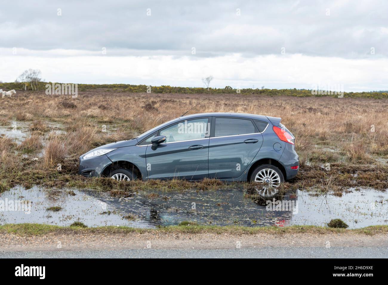 Ford Fiesta accident in New Forest, 2020 Stock Photo - Alamy
