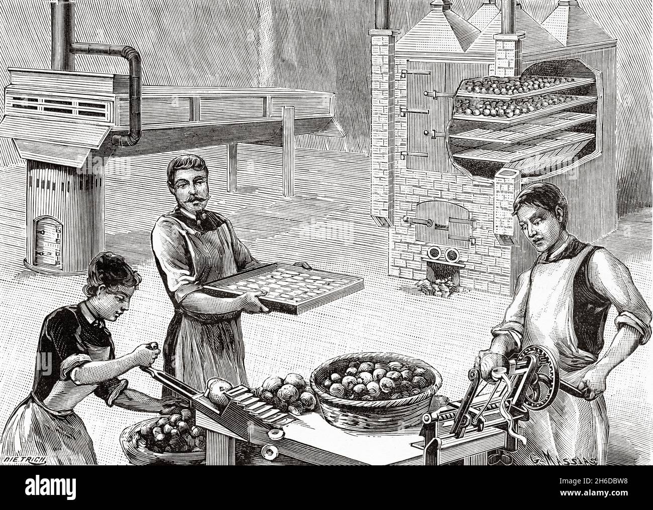 Conservation and traditional preparation of fruits by drying. Old 19th ...