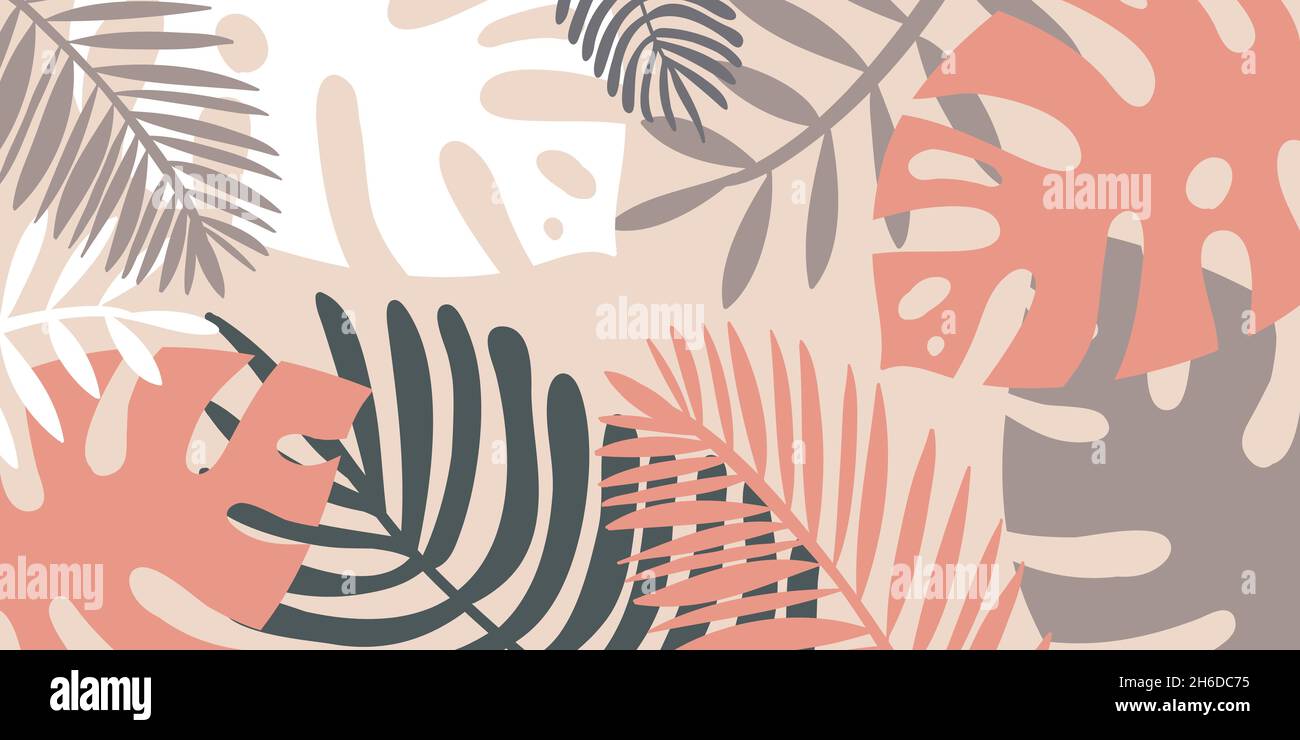 Tropical background, monstera palm leaf leaflet for design. Composition ...