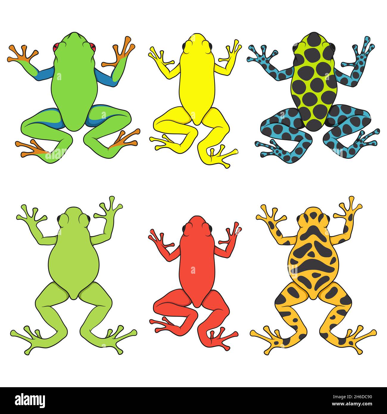 Set of color illustrations with tropical tree frogs. Isolated vector ...