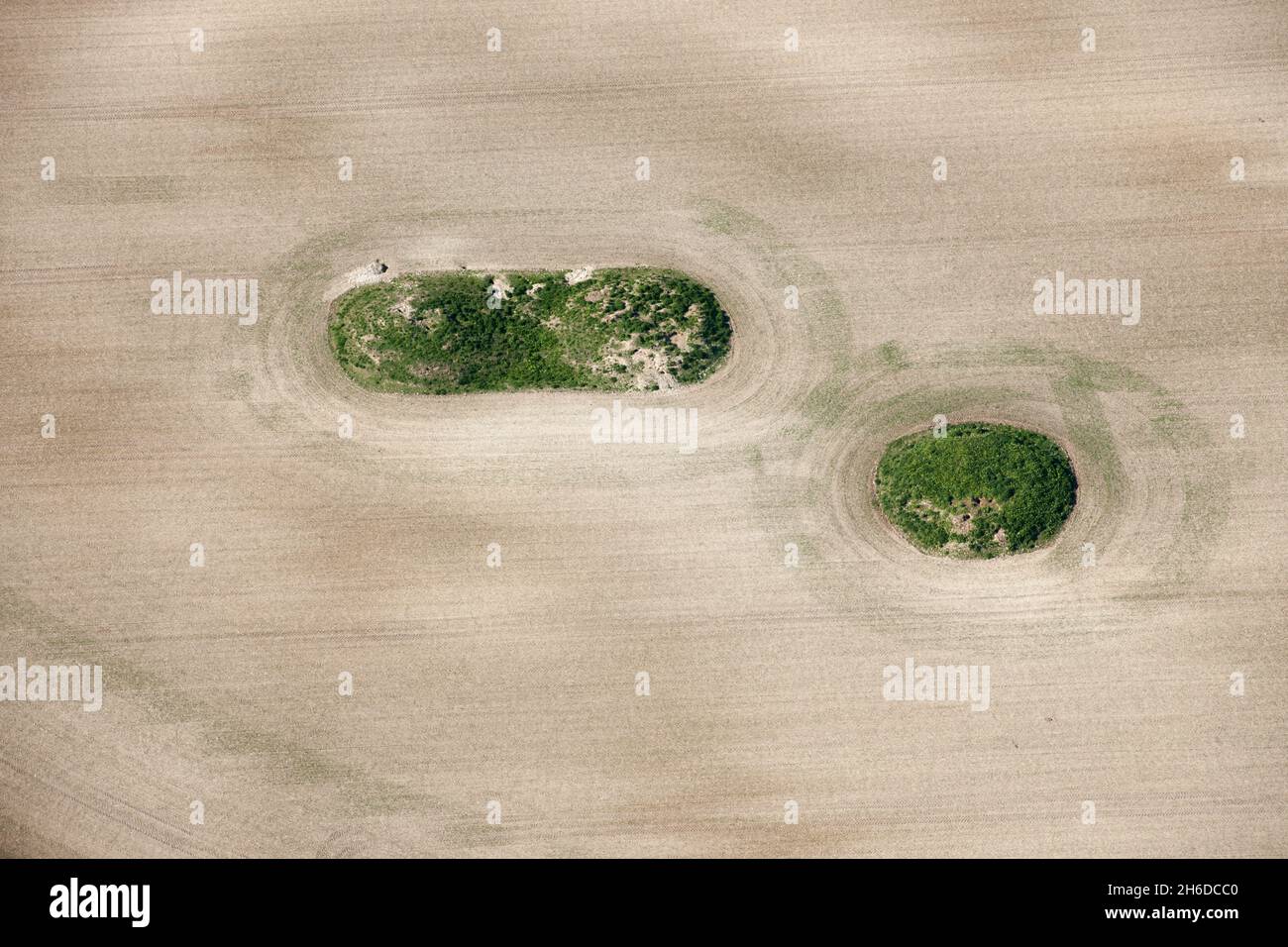 A group of round barrows on Sheep Down, Winterbourne Abbas, Dorset ...