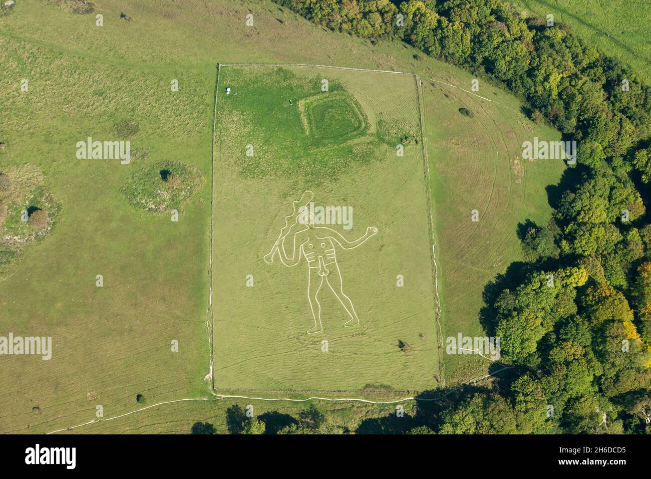 The Cerne Abbas Giant chalk hill figure and The Trendle enclosure ...