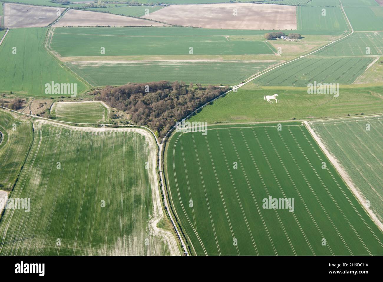 Part of the site of the 1643 Battle of Roundway Down and the new white ...