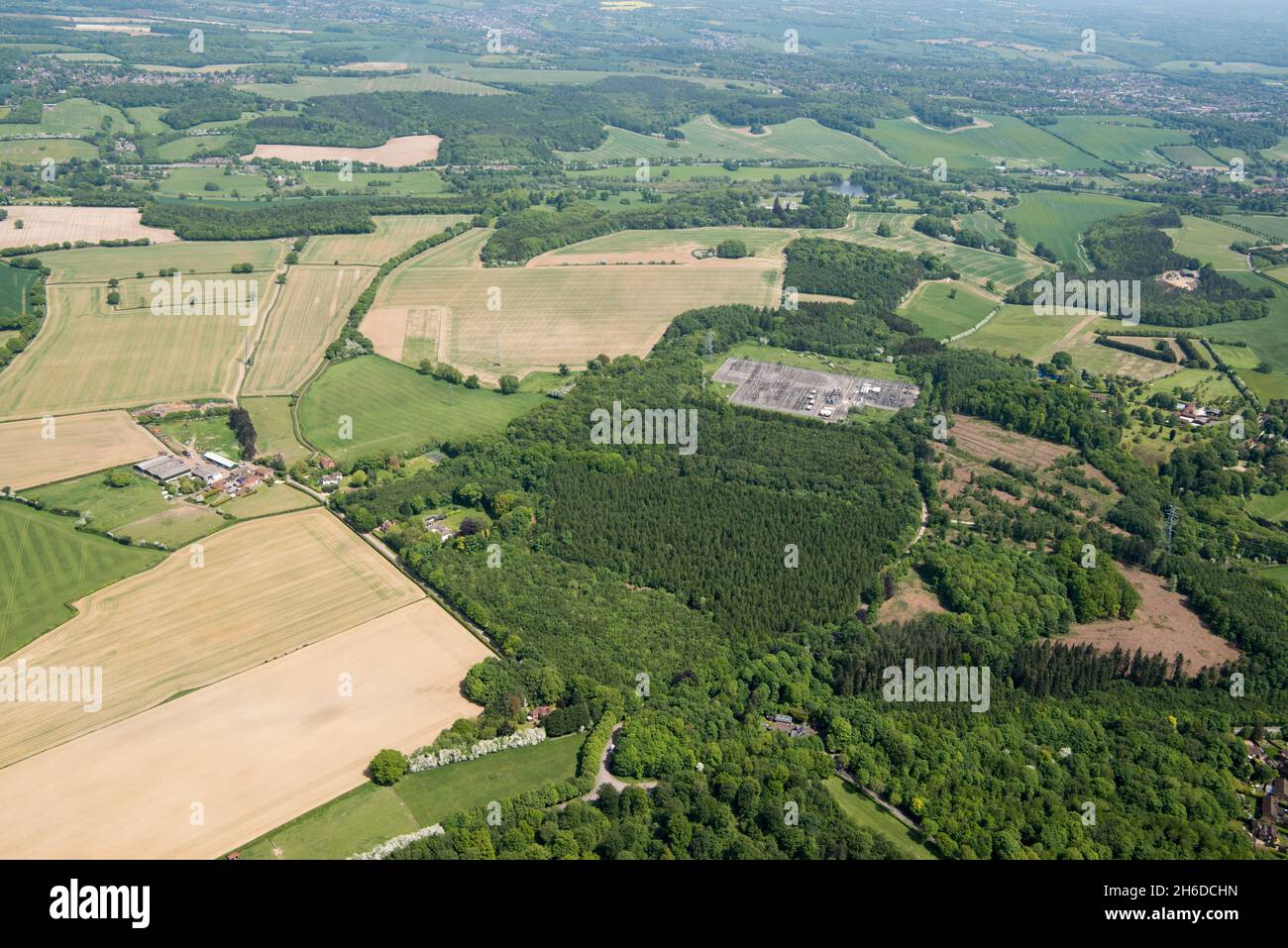 The landscape park and woodland with work by Nathaniel Richmond and ...