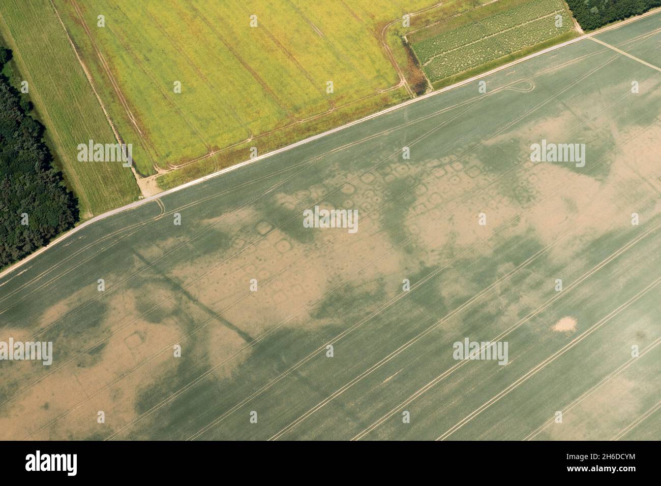 Iron Age square barrow cemetery crop mark on Haisthorpe Moor, East ...