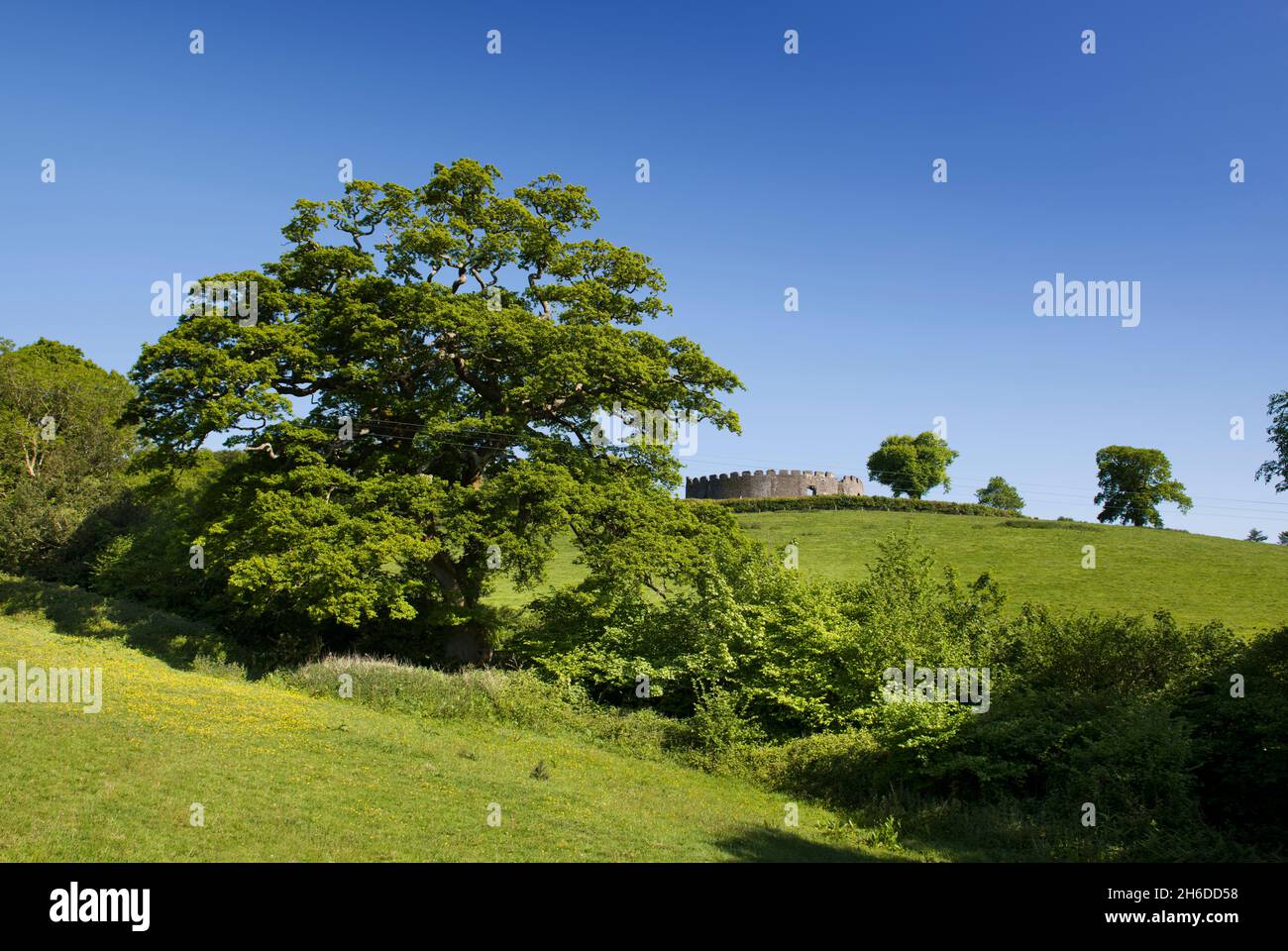 Restormel Castle, Lostwithiel, Cornwall, 2018. General view of the ...
