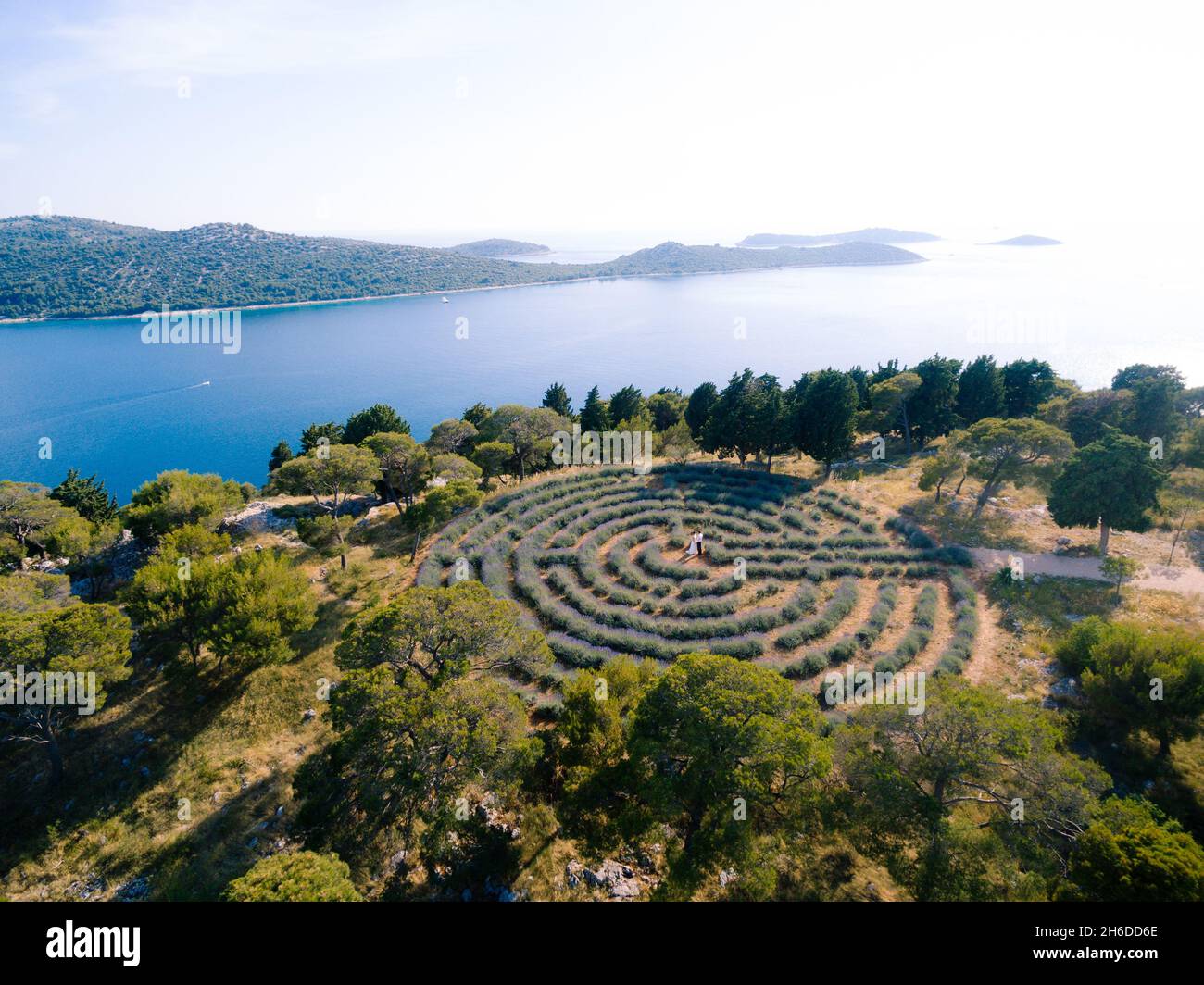 Lavender maze garden hi-res stock photography and images - Alamy