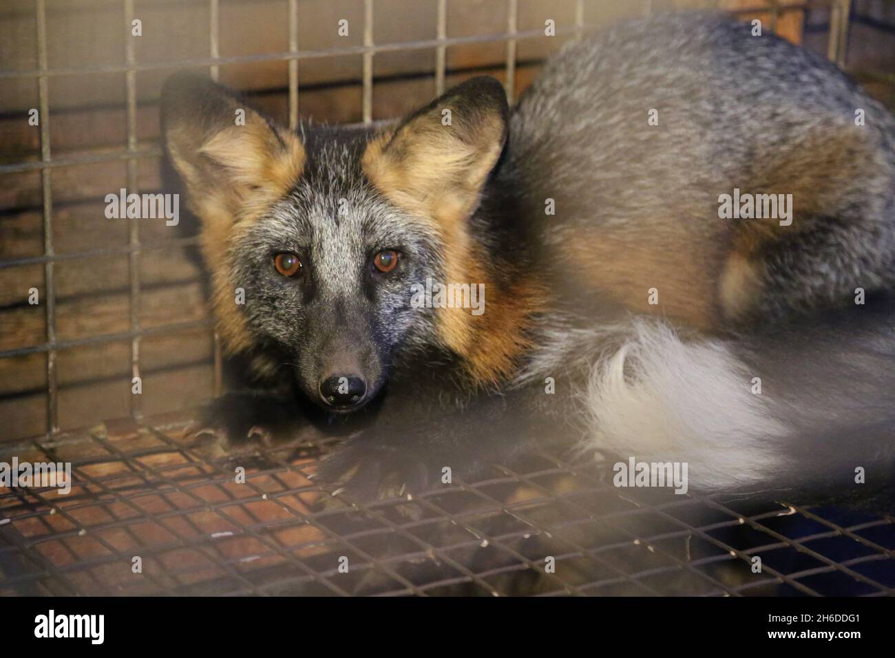 Coloured bars hi-res stock photography and images - Alamy