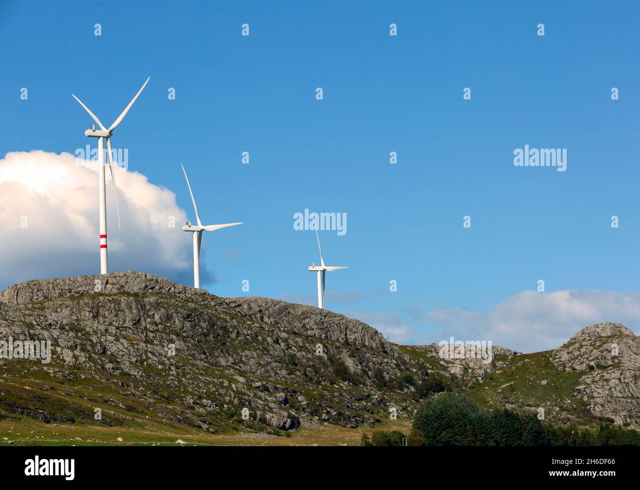 Panoramic view of wind farm or wind park, with high wind turbines for ...