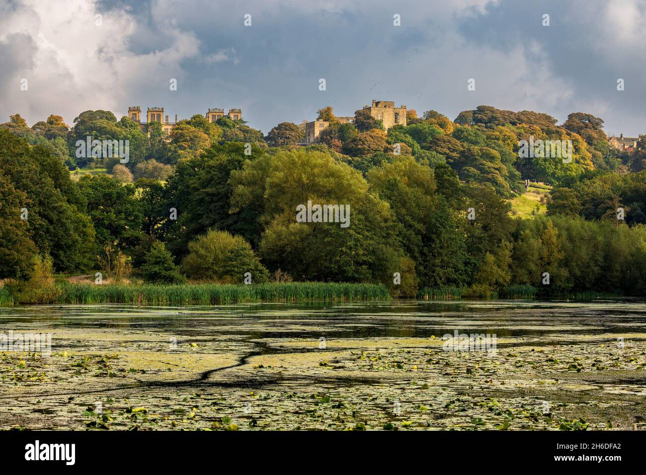 New hall estate hi-res stock photography and images - Alamy