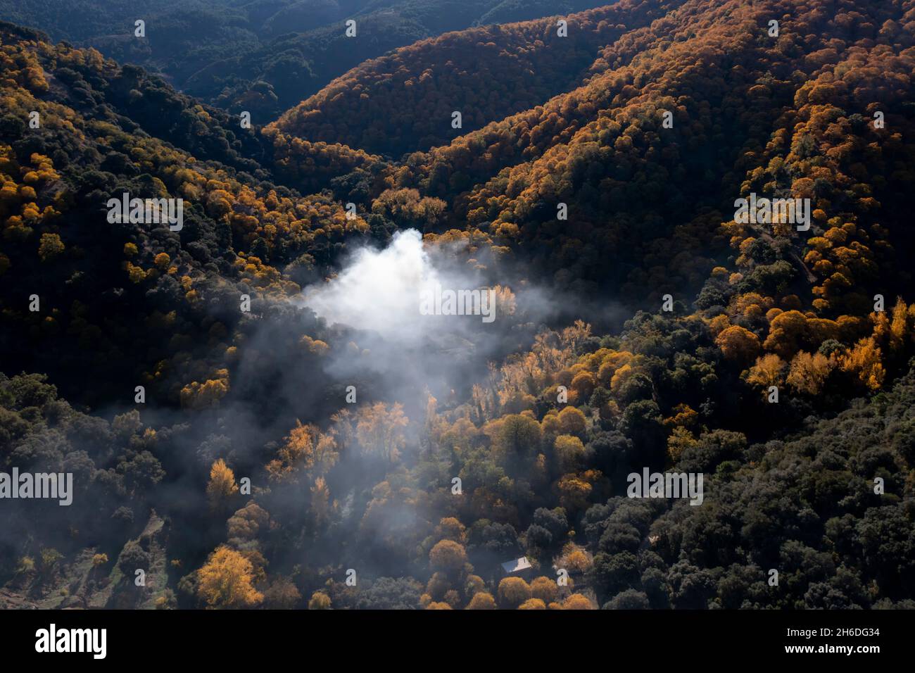 aerial view of the copper forest in the Genal Valley, Andalusia Stock ...