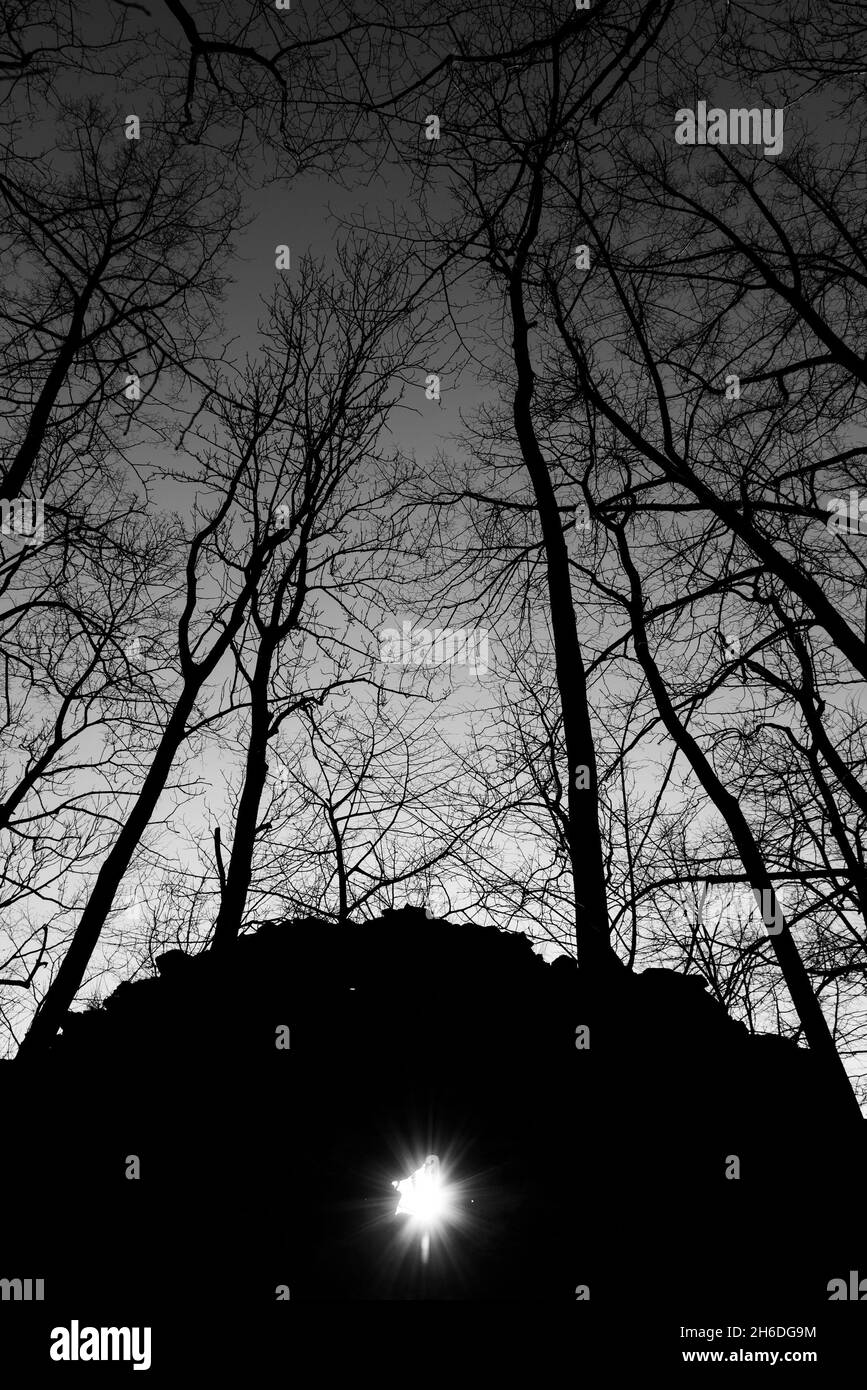 Forest fairy spring Black and White Stock Photos & Images - Alamy