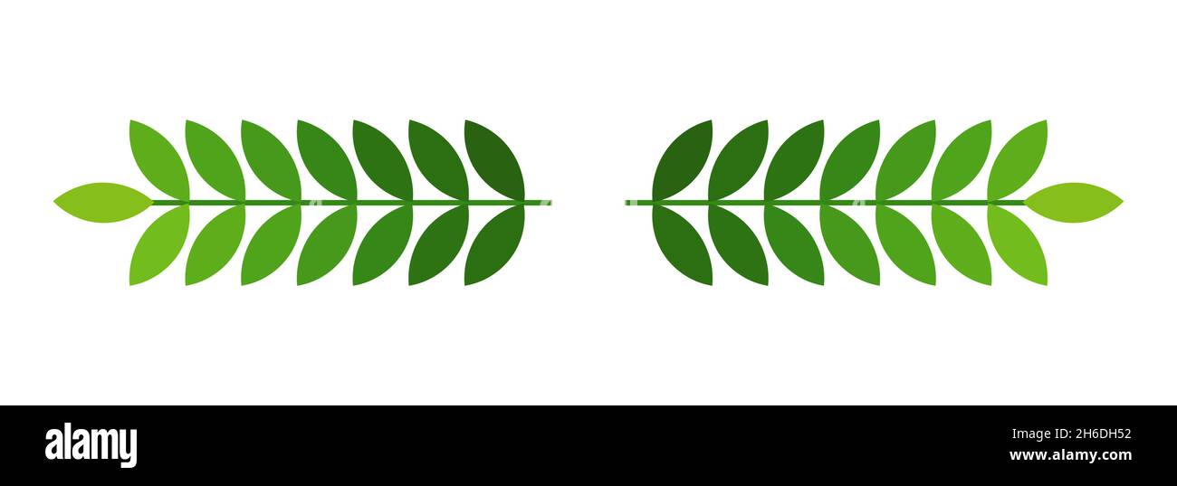 Green leaf branch design elements. Leaves border decor. Vector ...