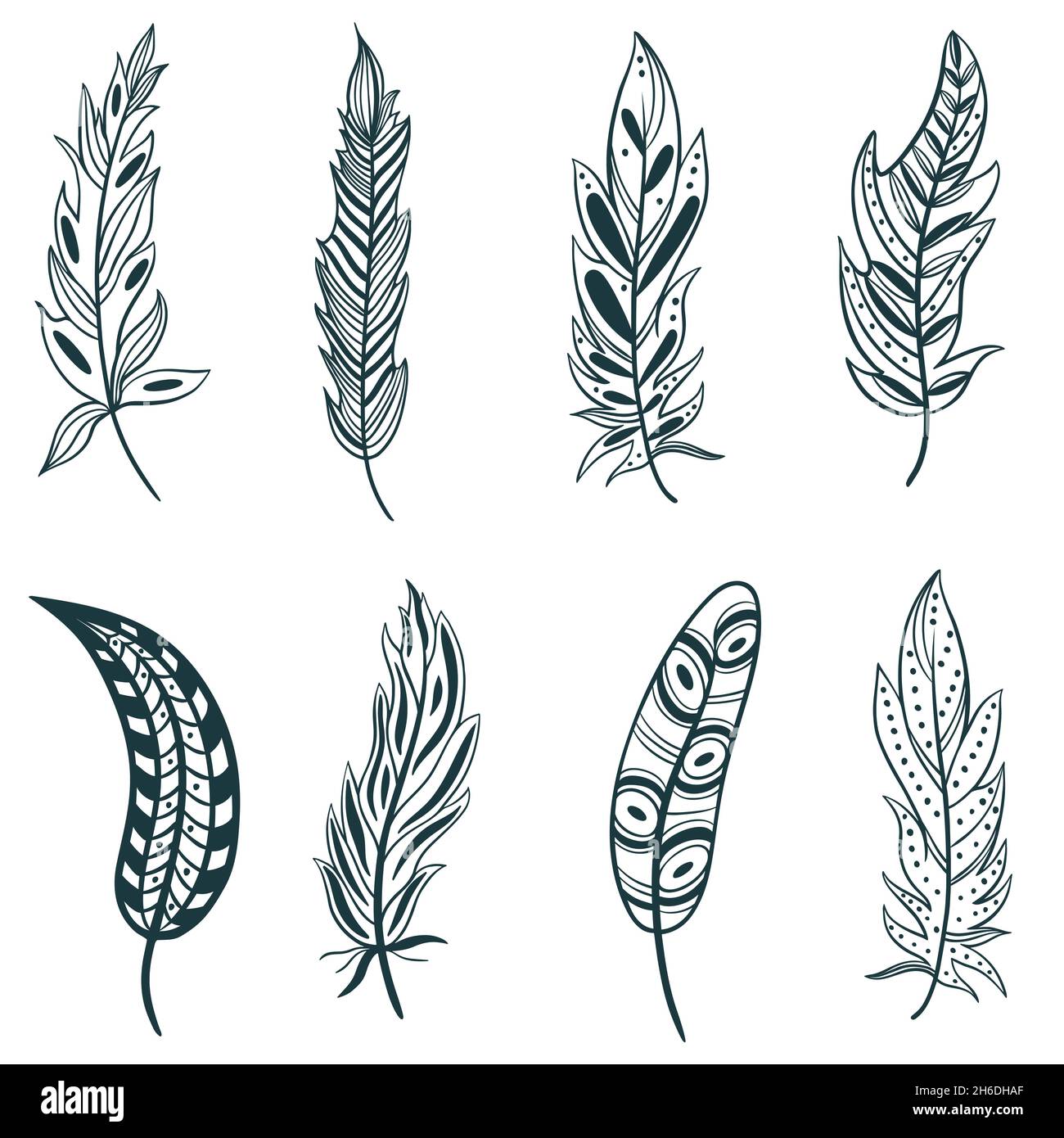 Feather set hand graphics, vector illustration. Collection of various ...