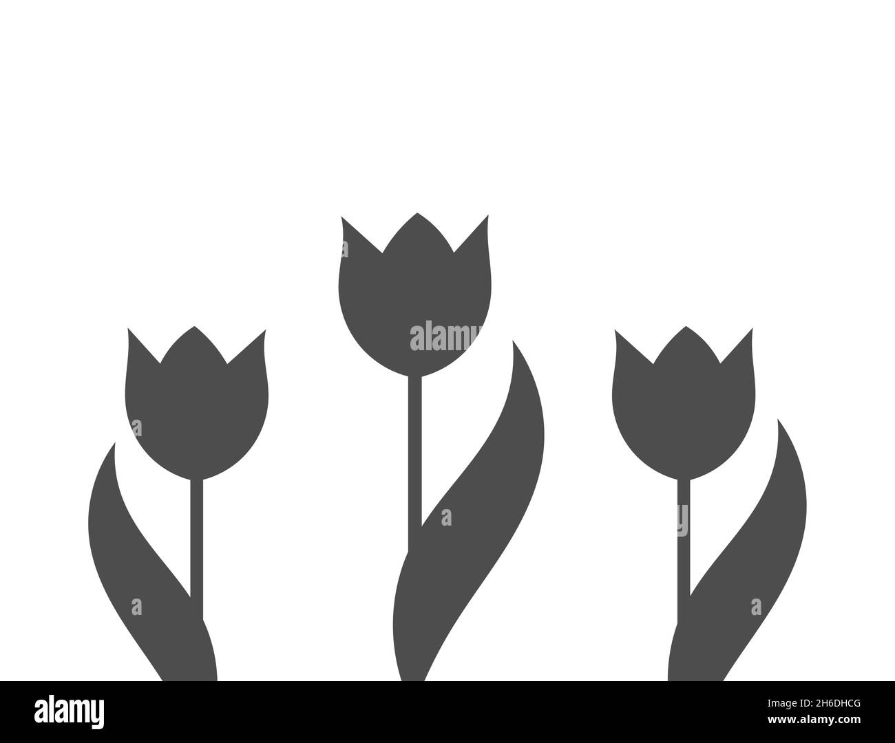 Black tulips flowers on white background. Tulip shape vector ...