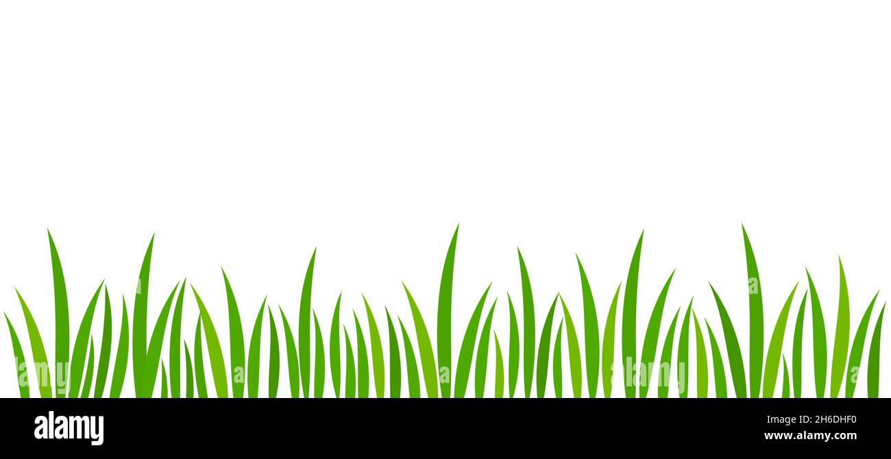 Green grass background. Spring grass border. Vector illustration Stock ...