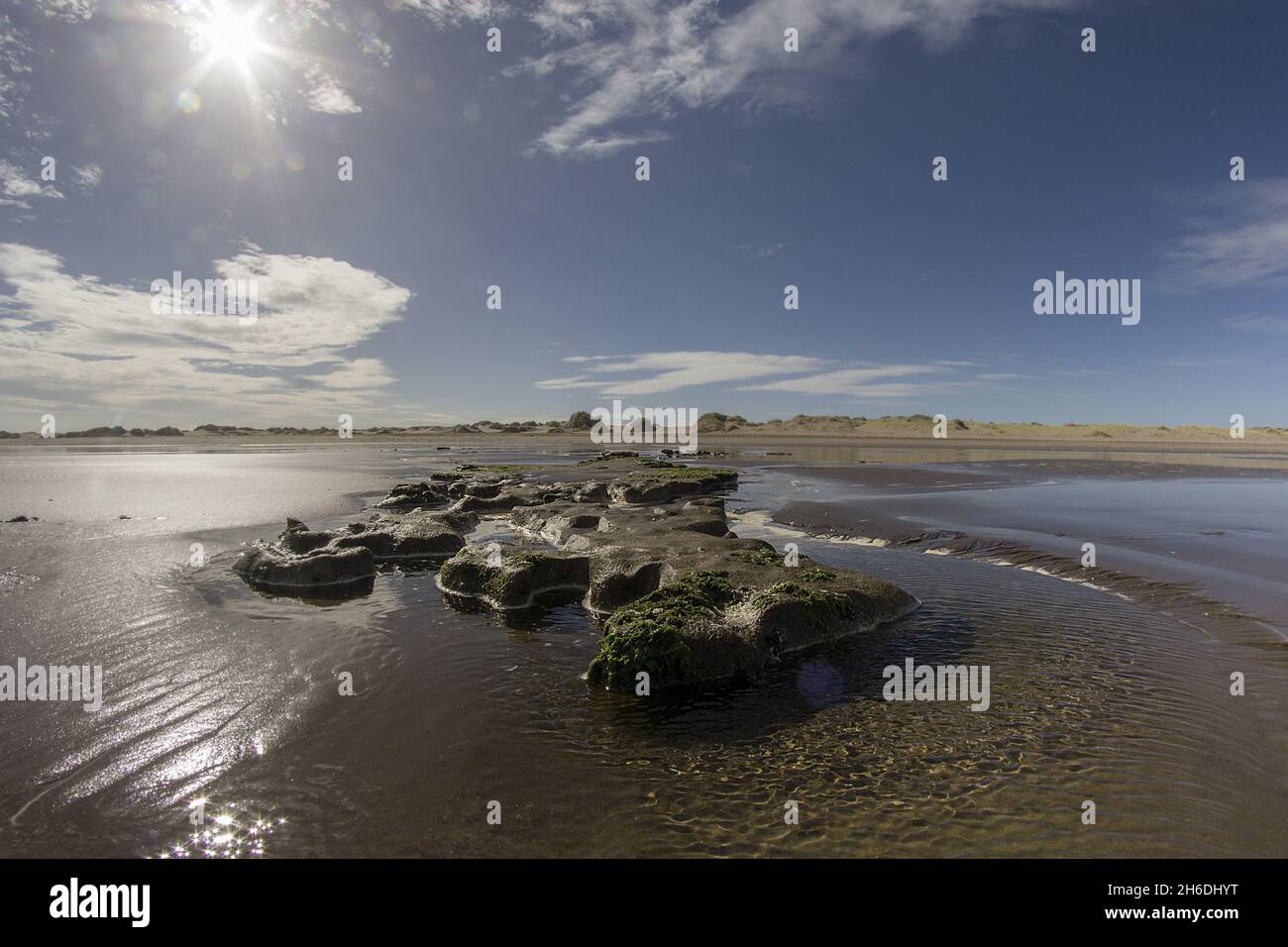 Blue green algas hi-res stock photography and images - Alamy