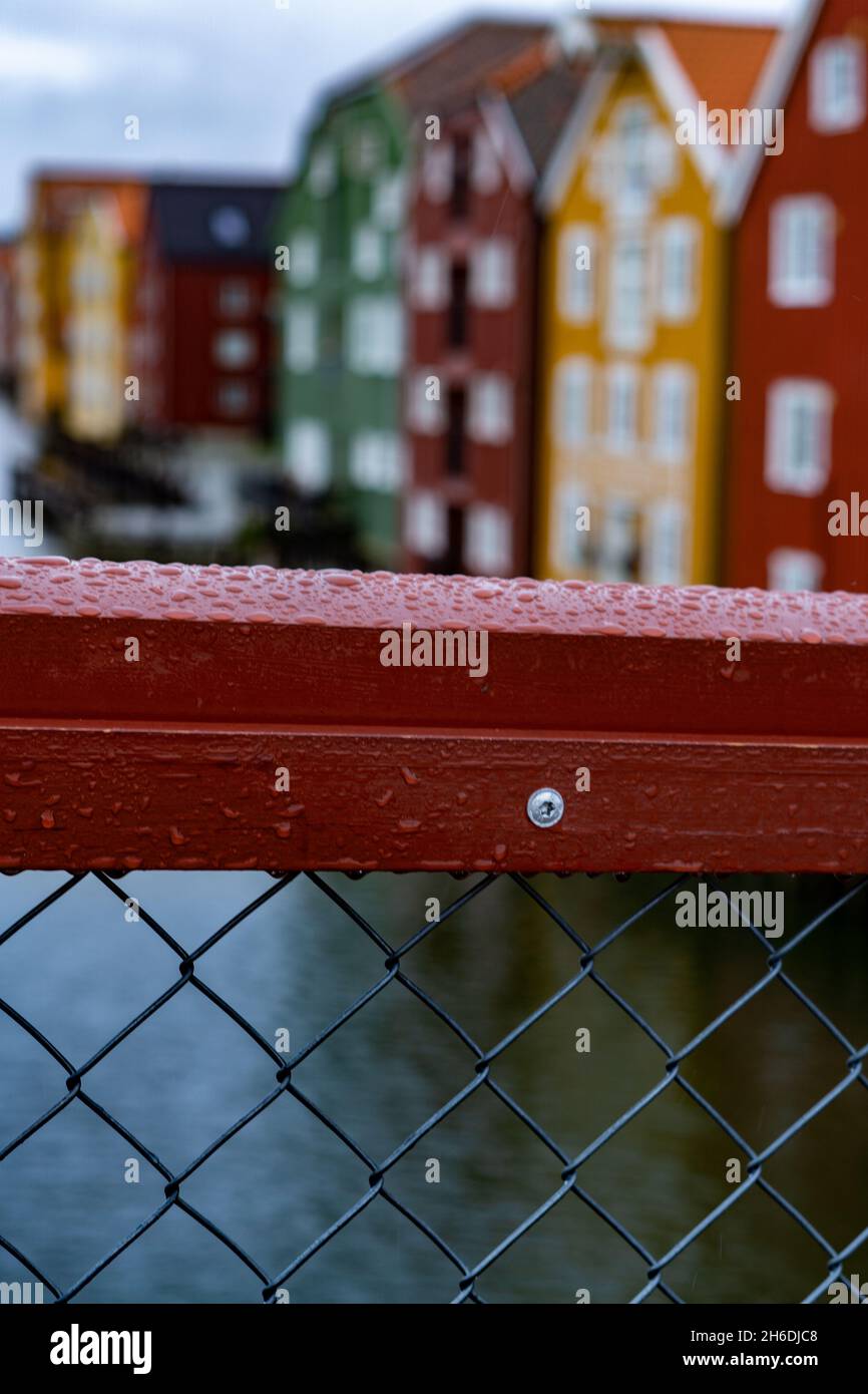 Vertical closeup of the wet fence against the background of colorful ...