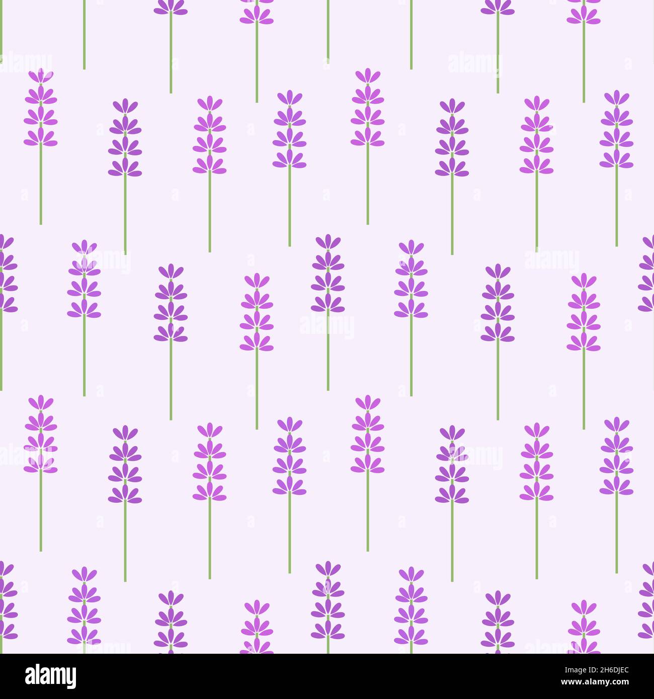 Lavender flowers seamless pattern. Floral lavender purple pattern for ...