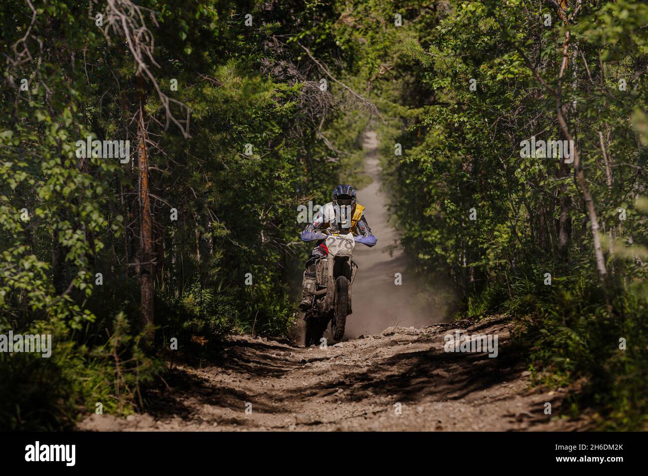 enduro motorcycle racer riding on forest trail Stock Photo - Alamy