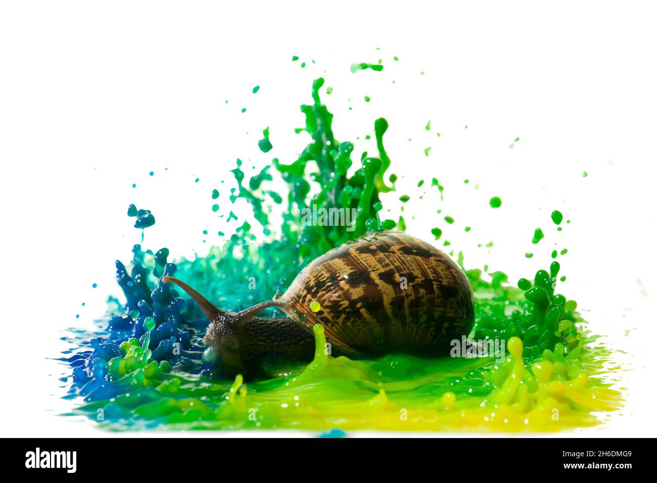 Fluorescent paint splash hi-res stock photography and images - Alamy