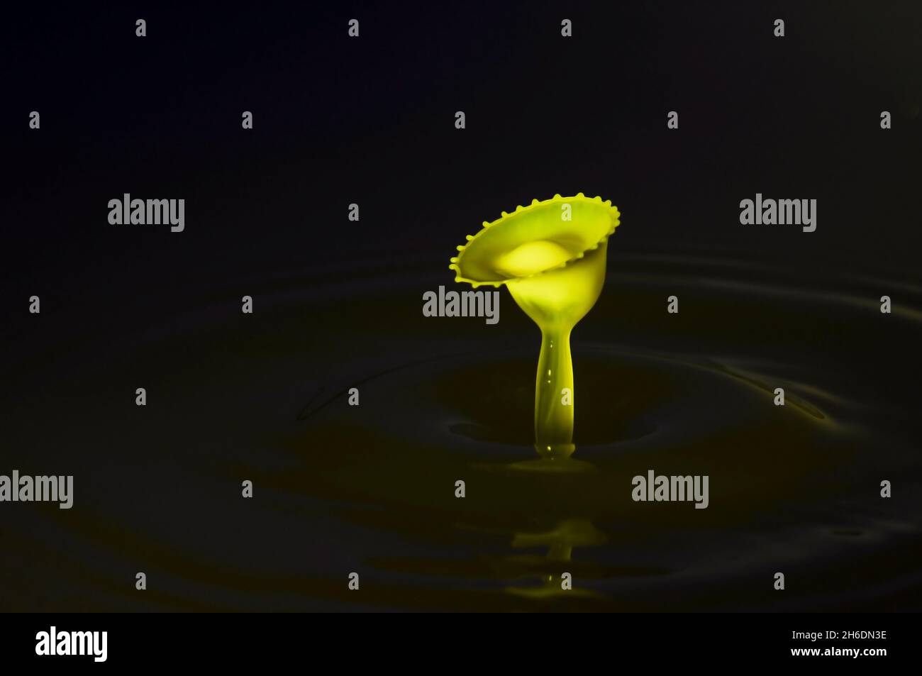 High-speed flash photograph liquid droplets. The droplet lands in the ...