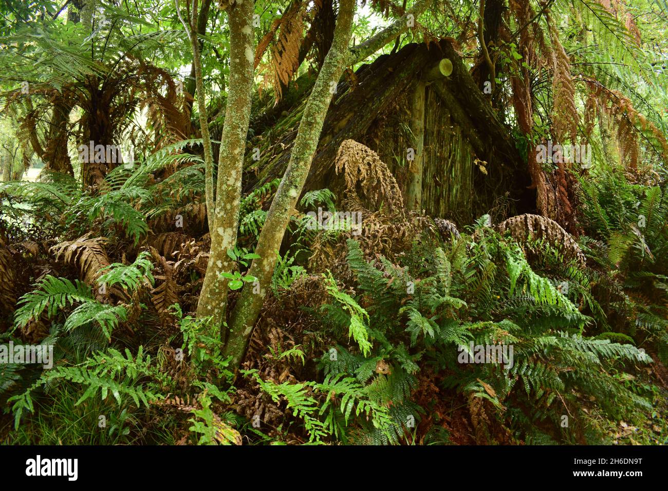 Indigenous house hi-res stock photography and images - Alamy