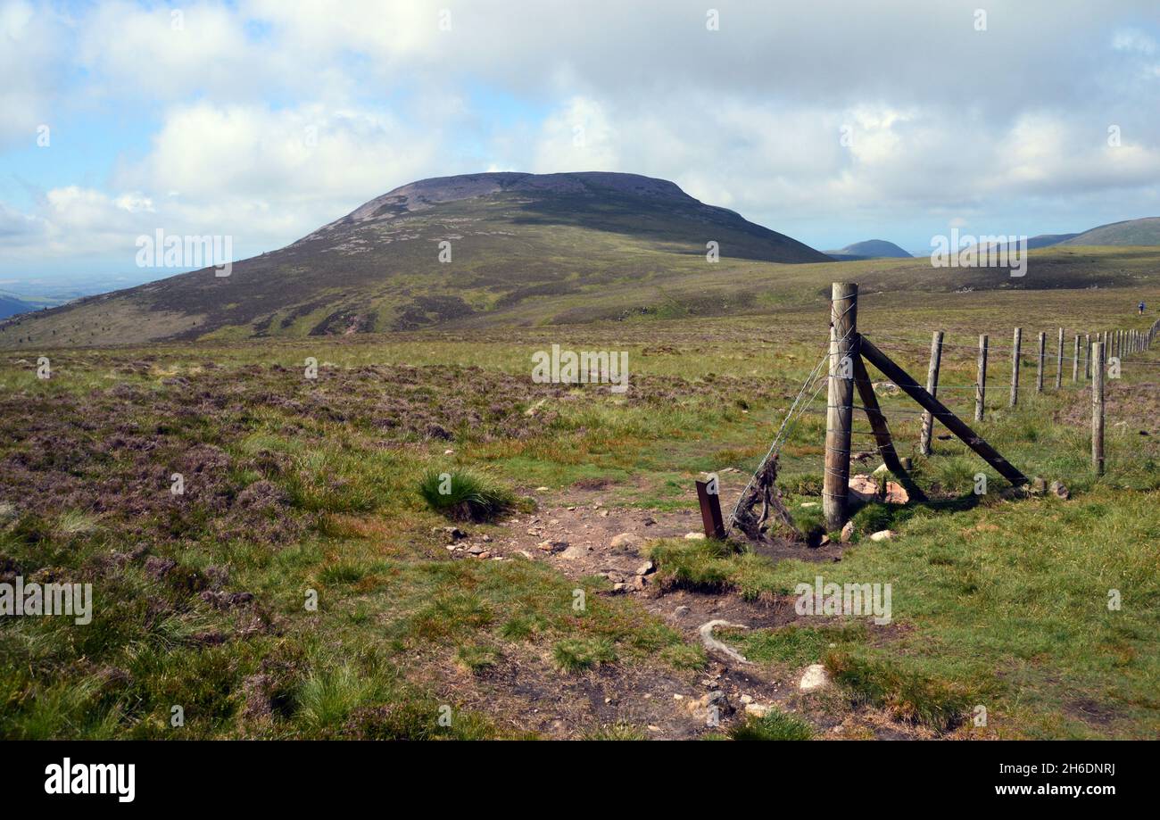 The Wainwright 'Great Borne' from the Wire Fence near the Summit of ...