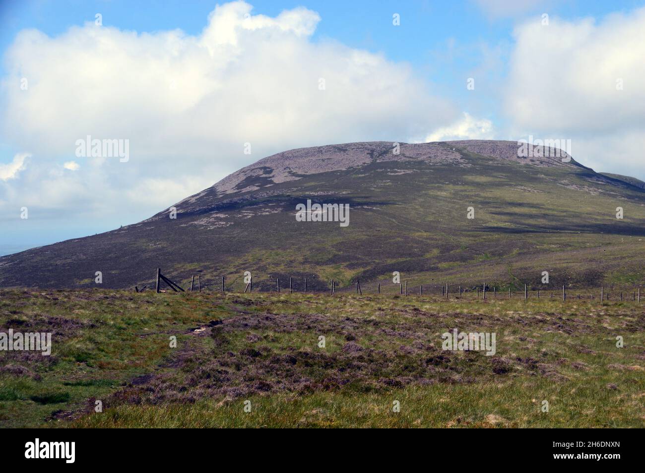 The Wainwright 'Great Borne' from the Wire Fence near the Summit of ...