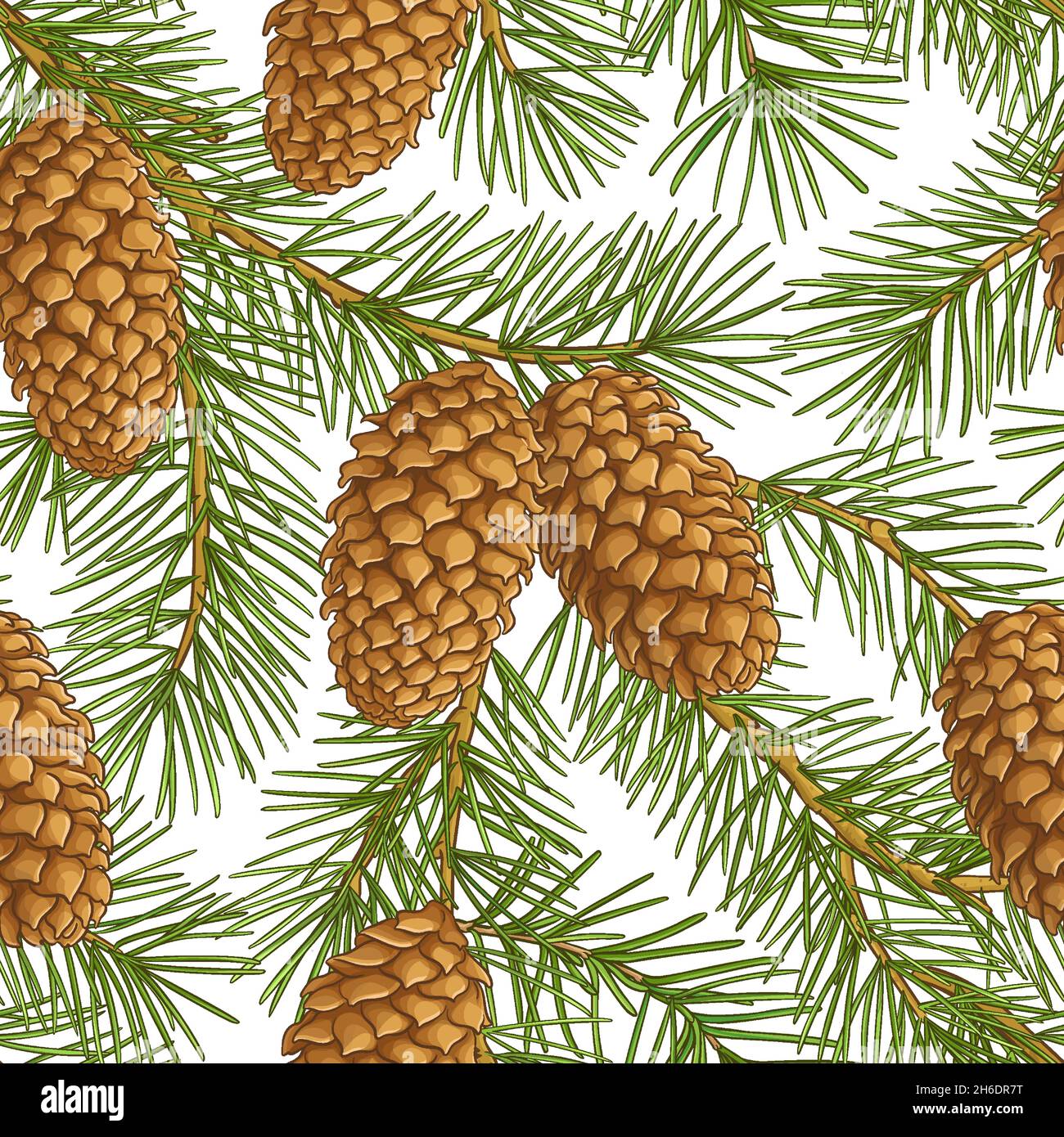 fir tree vector pattern on white background Stock Vector Image & Art ...