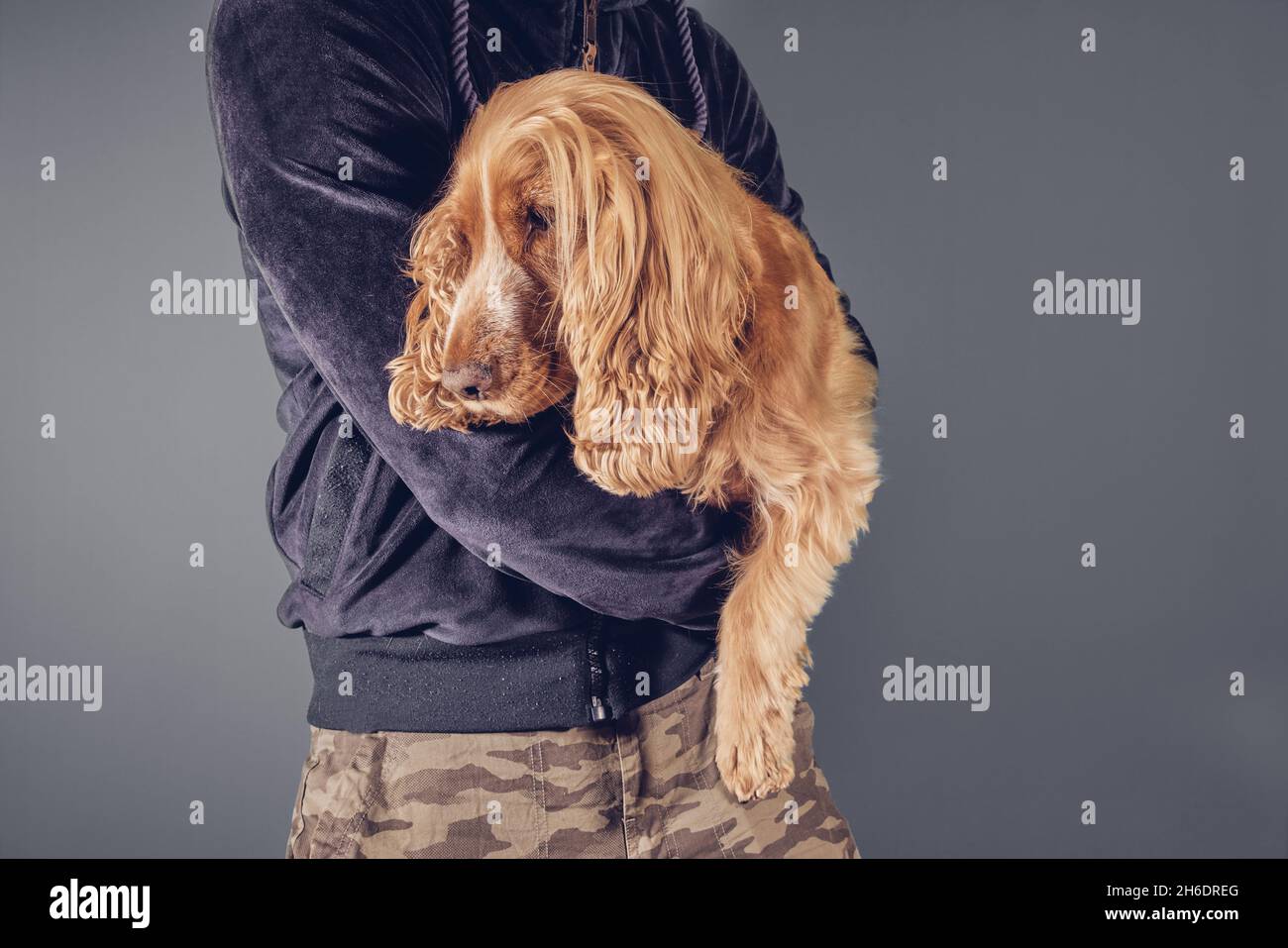 Man holding cocker spaniel dog in arms Stock Photo - Alamy
